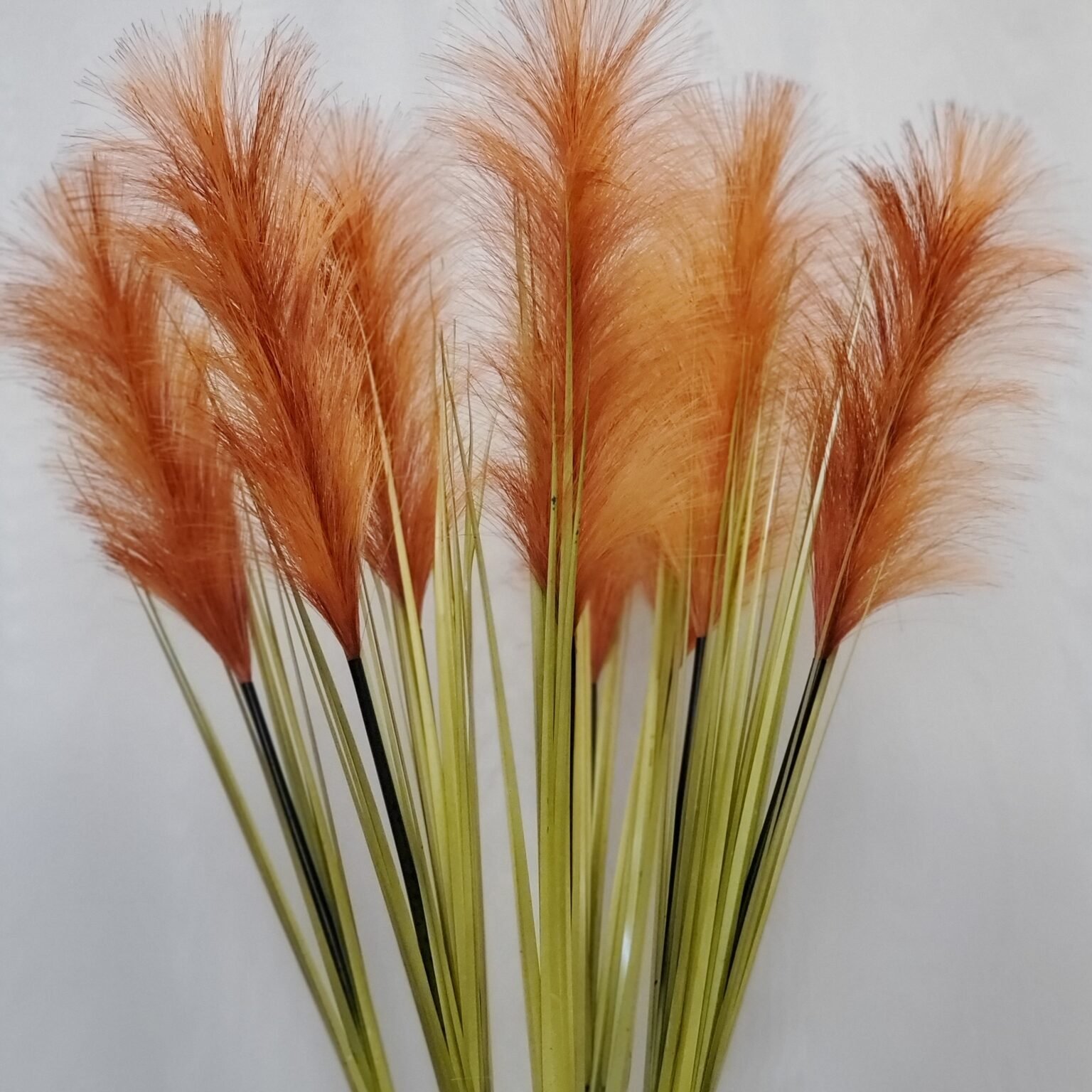 Rust Artificial Single Plume Pampas Grass | Calgary Event Wholesale ...