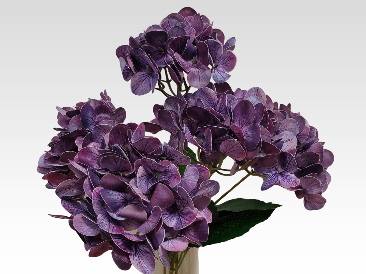 Pipe And Drape | Calgary Event Wholesale Wedding And Event Decor