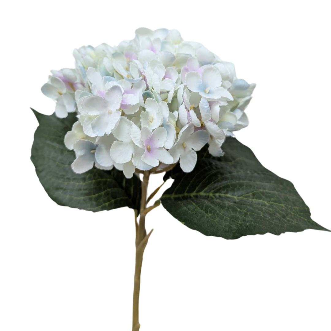 Light Blue Single Stem Hydrangea Calgary Event Wholesale Wedding And 6413