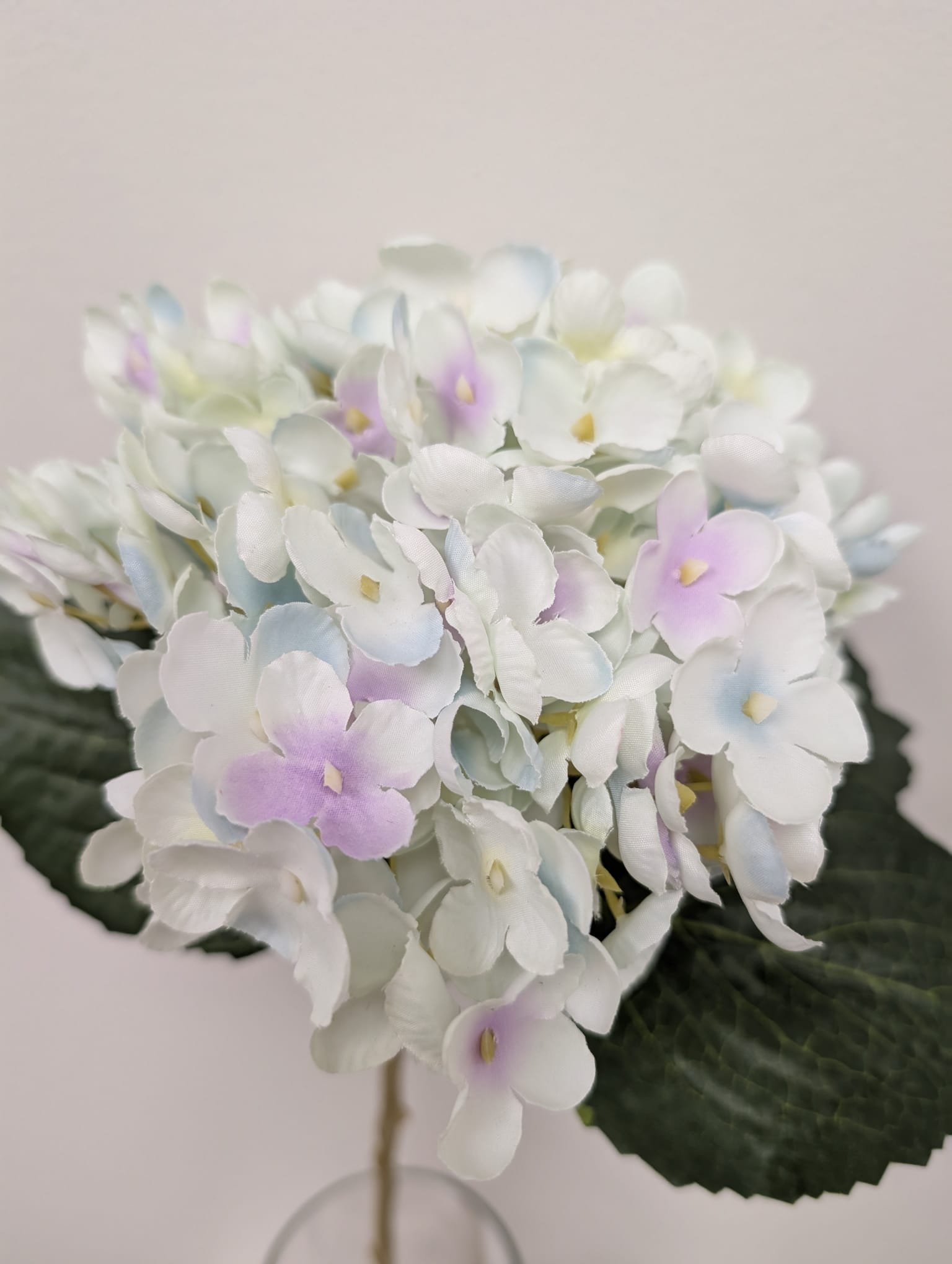 Light Blue Single Stem Hydrangea | Calgary Event Wholesale Wedding And ...